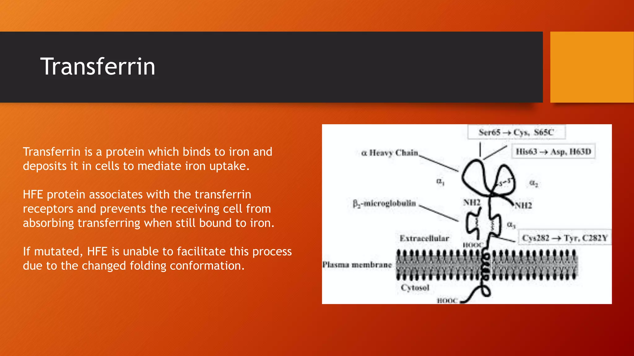 Hemochromatosis case study | PPTX