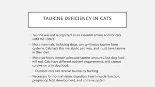 Taurine Deficiency Case Study | PPTX