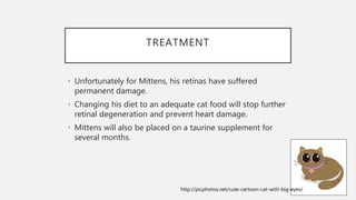 Taurine Deficiency Case Study | PPTX