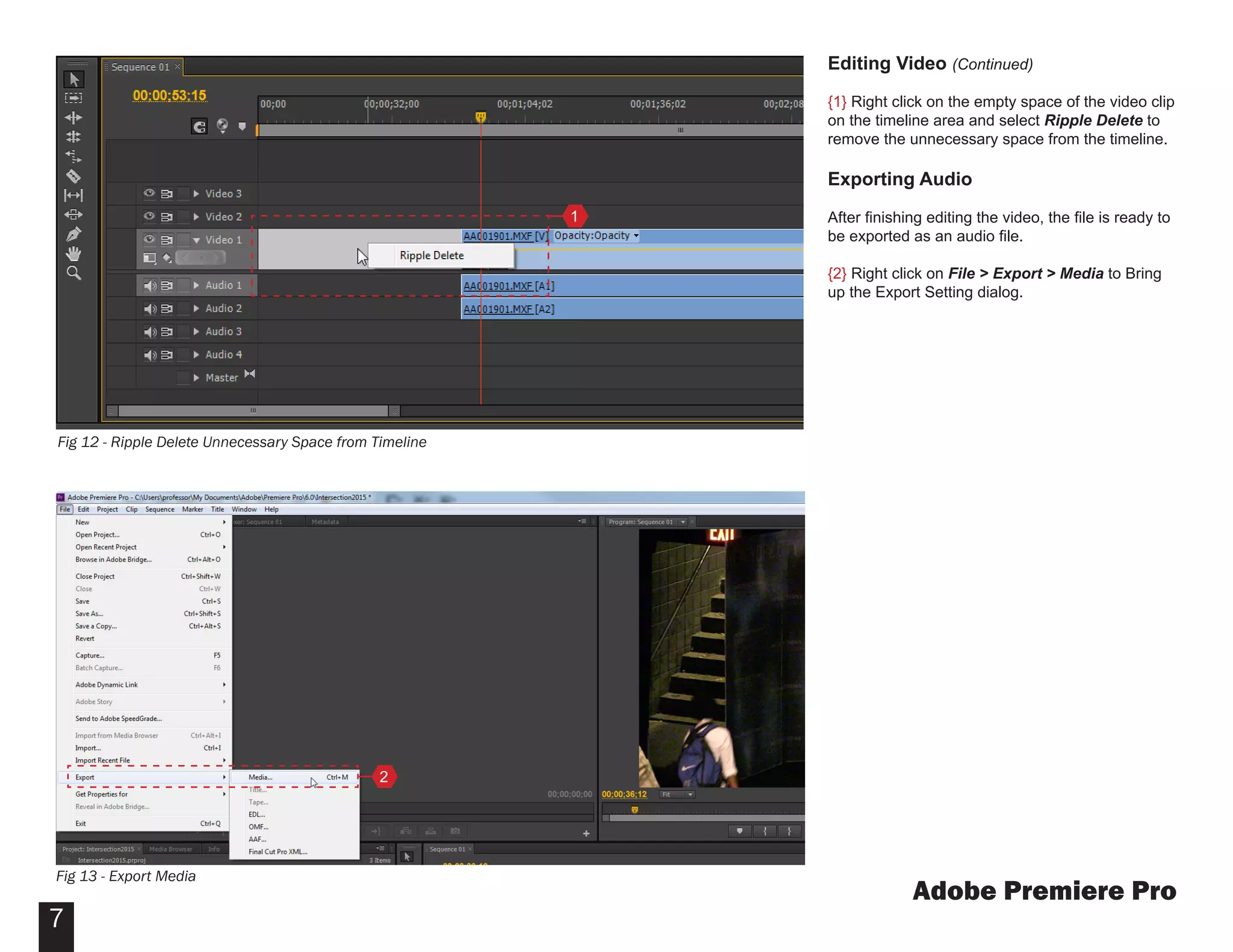 Adobe Premiere Pro | PDF
