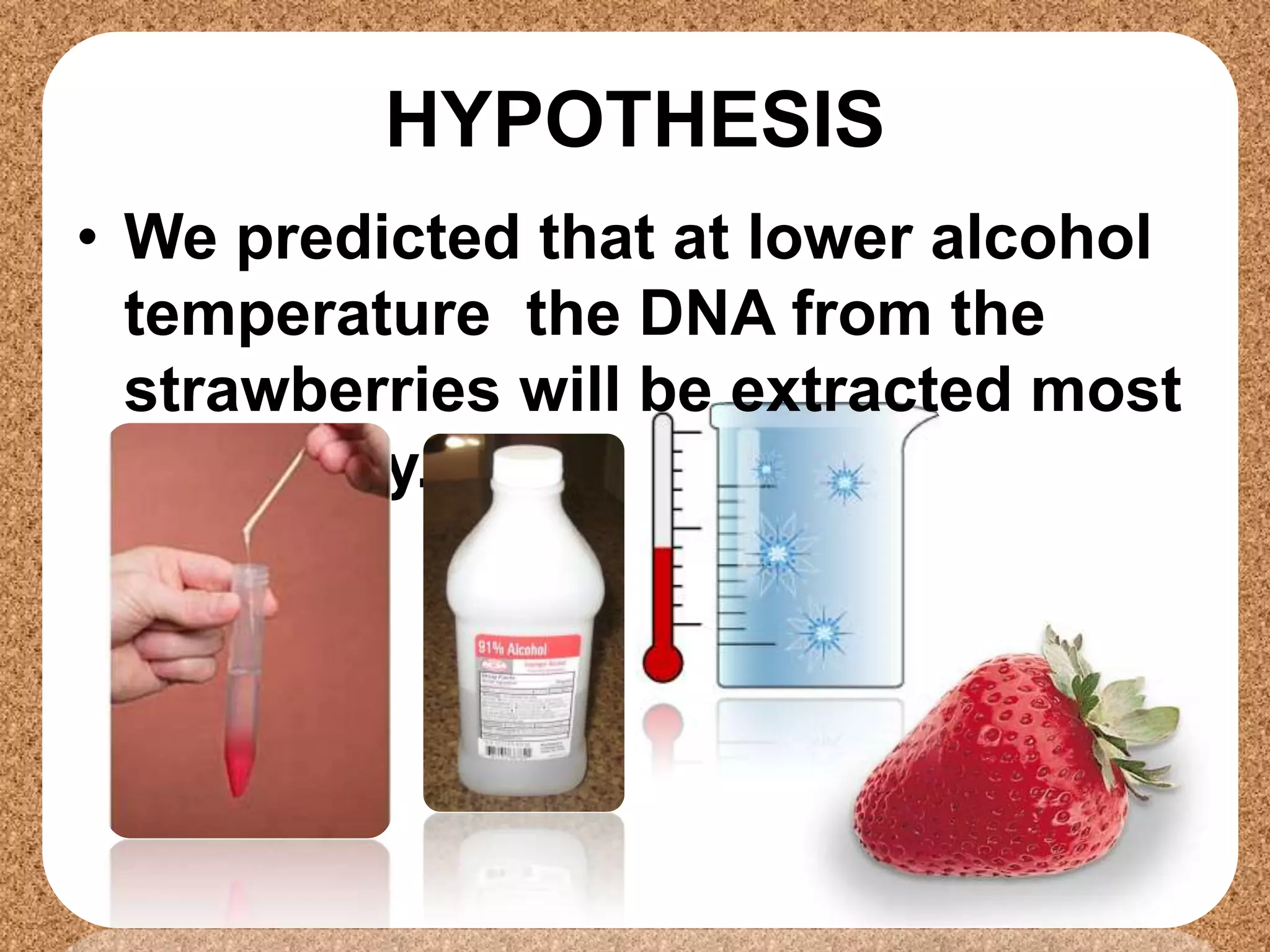 Extracting DNA from strawberries | PPTX
