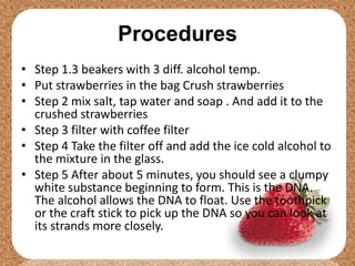 Extracting DNA from strawberries | PPTX