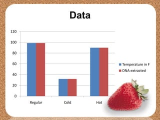 Extracting DNA from strawberries | PPTX