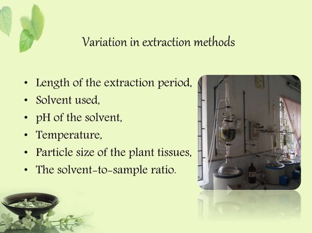 PHYTOCHEMICAL EXTRACTION | PPT | Herbs and Supplements | Alternative Medicine