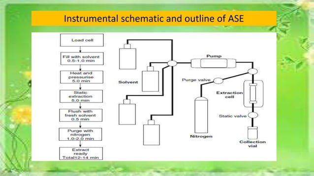 Extraction of herbal drugs | PPTX