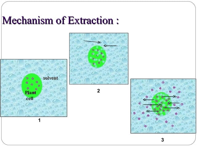 Extraction | PDF