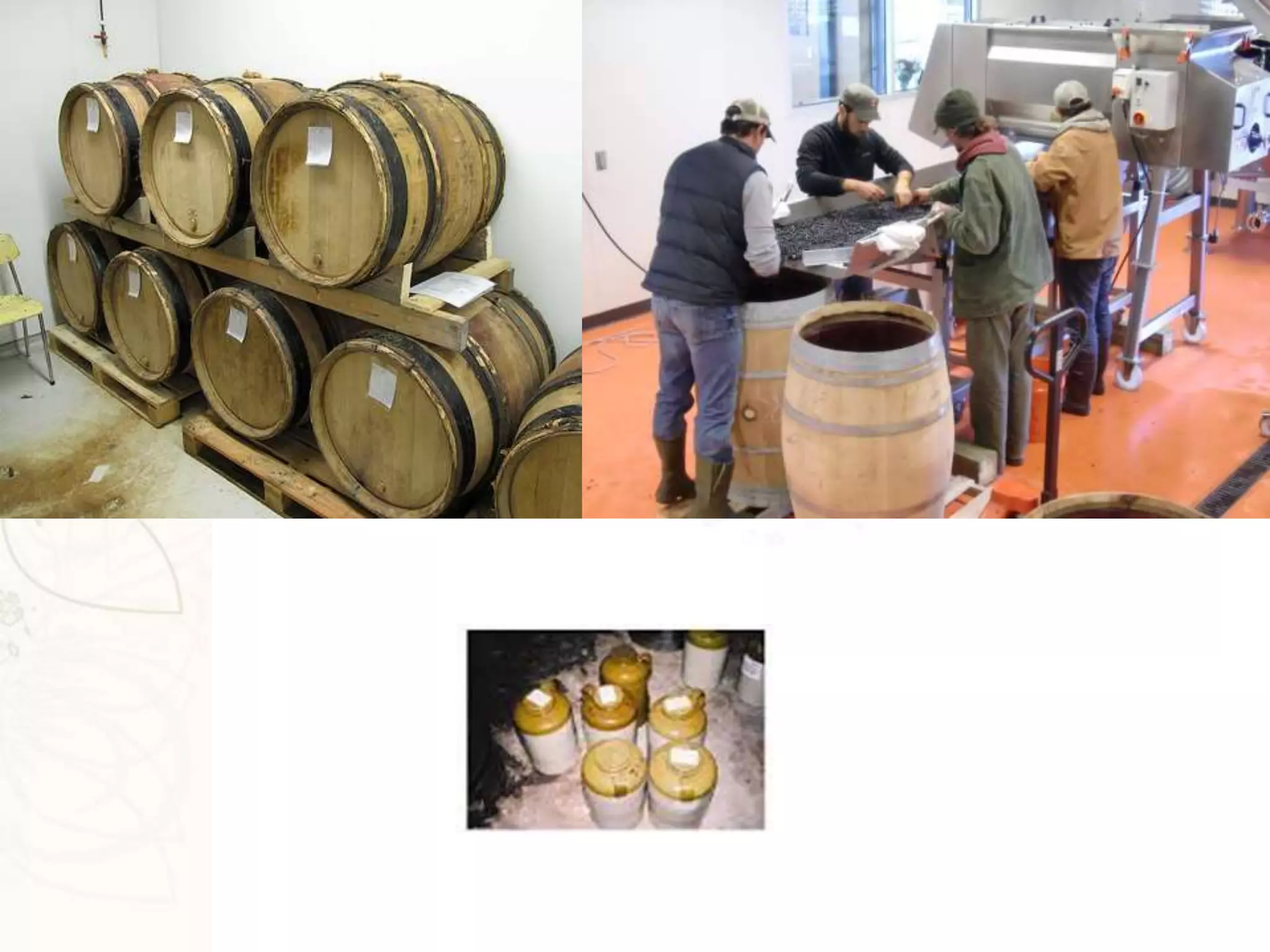 Methods of Extraction, Pharmacognosy, types of extraction for herbal ...