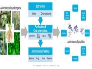 Pigments and Colors:Extraction and Purification | PPTX