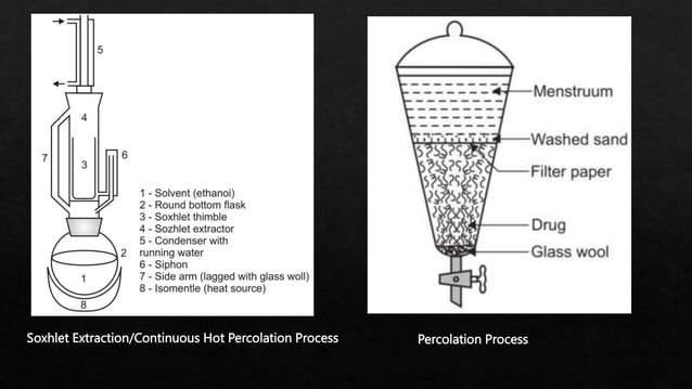 Extraction by Mr. Mahesh P Junghare Sir. | PPT