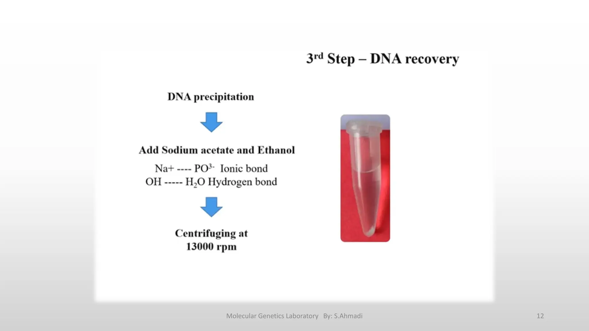 Different methods of extraction in whole Blood | PPT