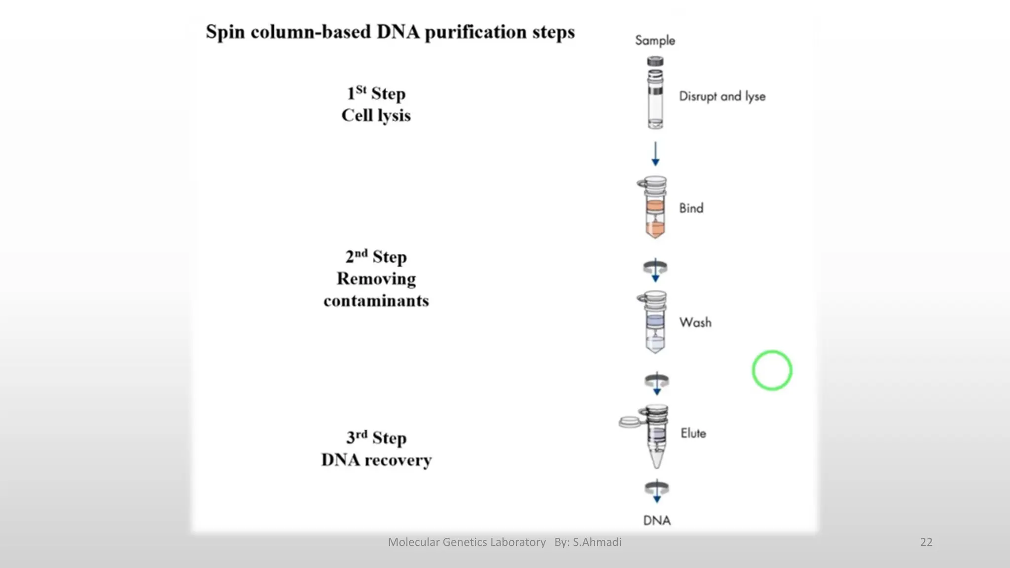 Different methods of extraction in whole Blood | PPT