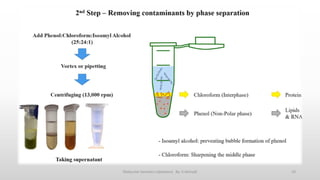 Different methods of extraction in whole Blood | PPT