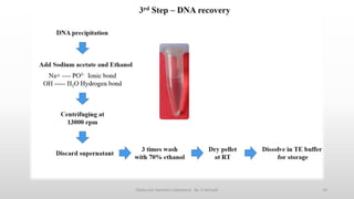 Different methods of extraction in whole Blood | PPT