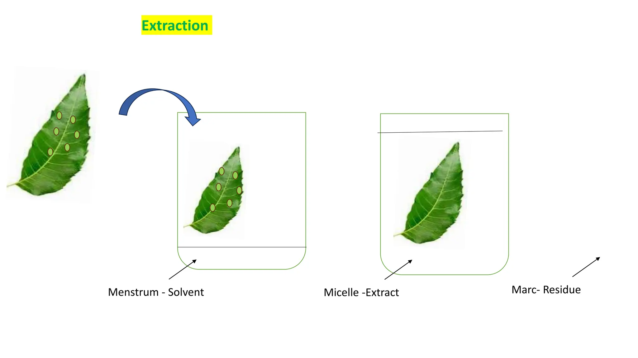 Detail about Extraction, mechanism of extraction part 1.pptx