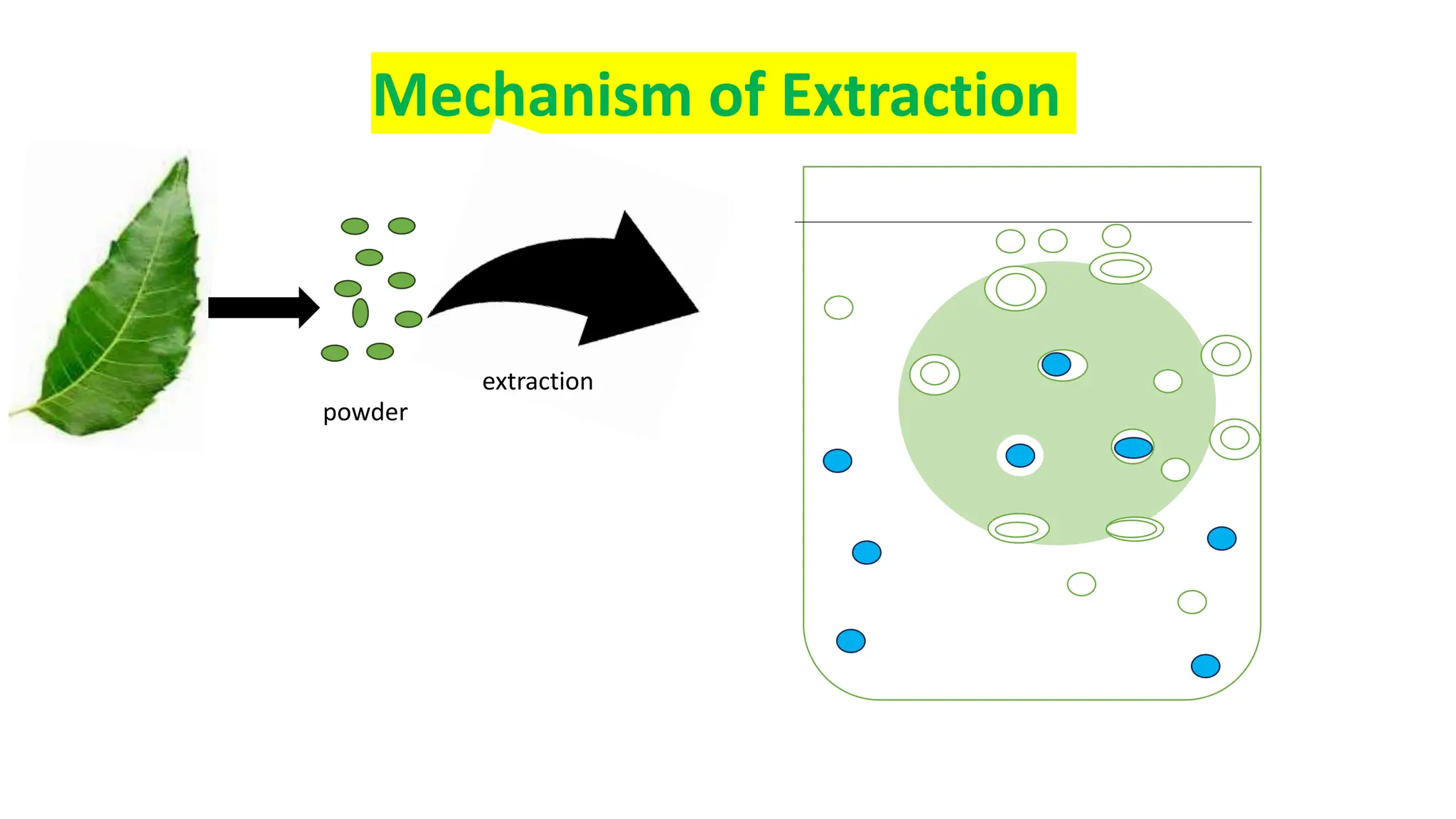 Detail about Extraction, mechanism of extraction part 1.pptx