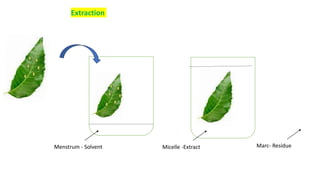 Detail about Extraction, mechanism of extraction part 1.pptx
