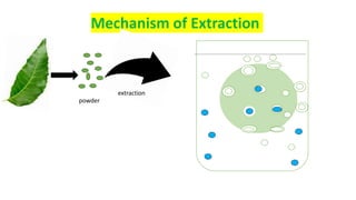 Detail about Extraction, mechanism of extraction part 1.pptx