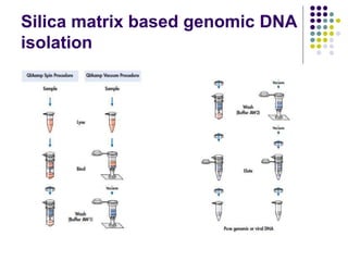 extraction (1).ppt