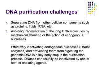 extraction (1).ppt
