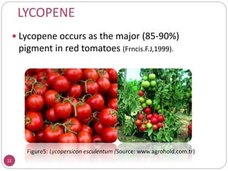 Extraction and application of natural food colorants | PPTX