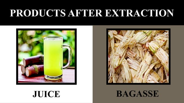 Extraction and clarification of raw juice.pptx