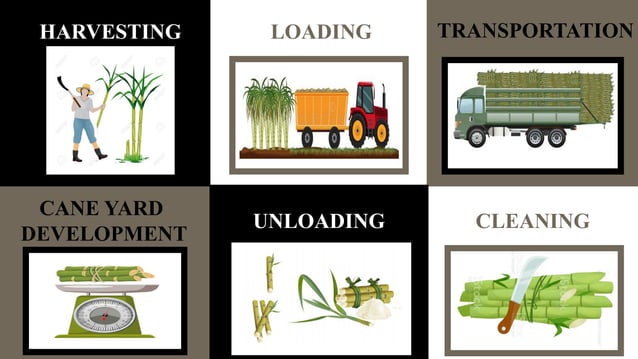 Extraction and clarification of raw juice.pptx