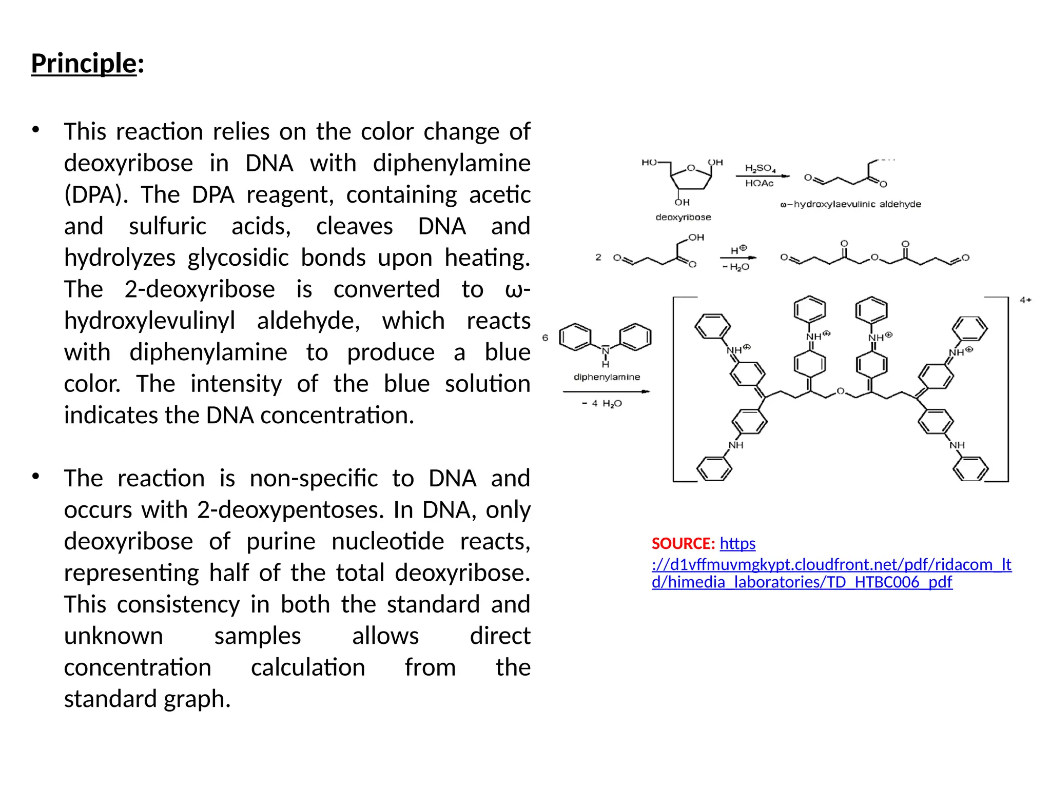 Extraction and estimation of the nucleic acid-.pptx