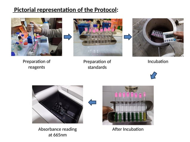 Extraction and estimation of the nucleic acid-.pptx | Chemistry | Science