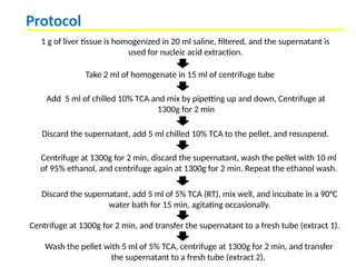 Extraction and estimation of the nucleic acid-.pptx