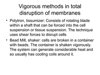 Extraction and Purification.ppt nnnnnnnnnn | PPT