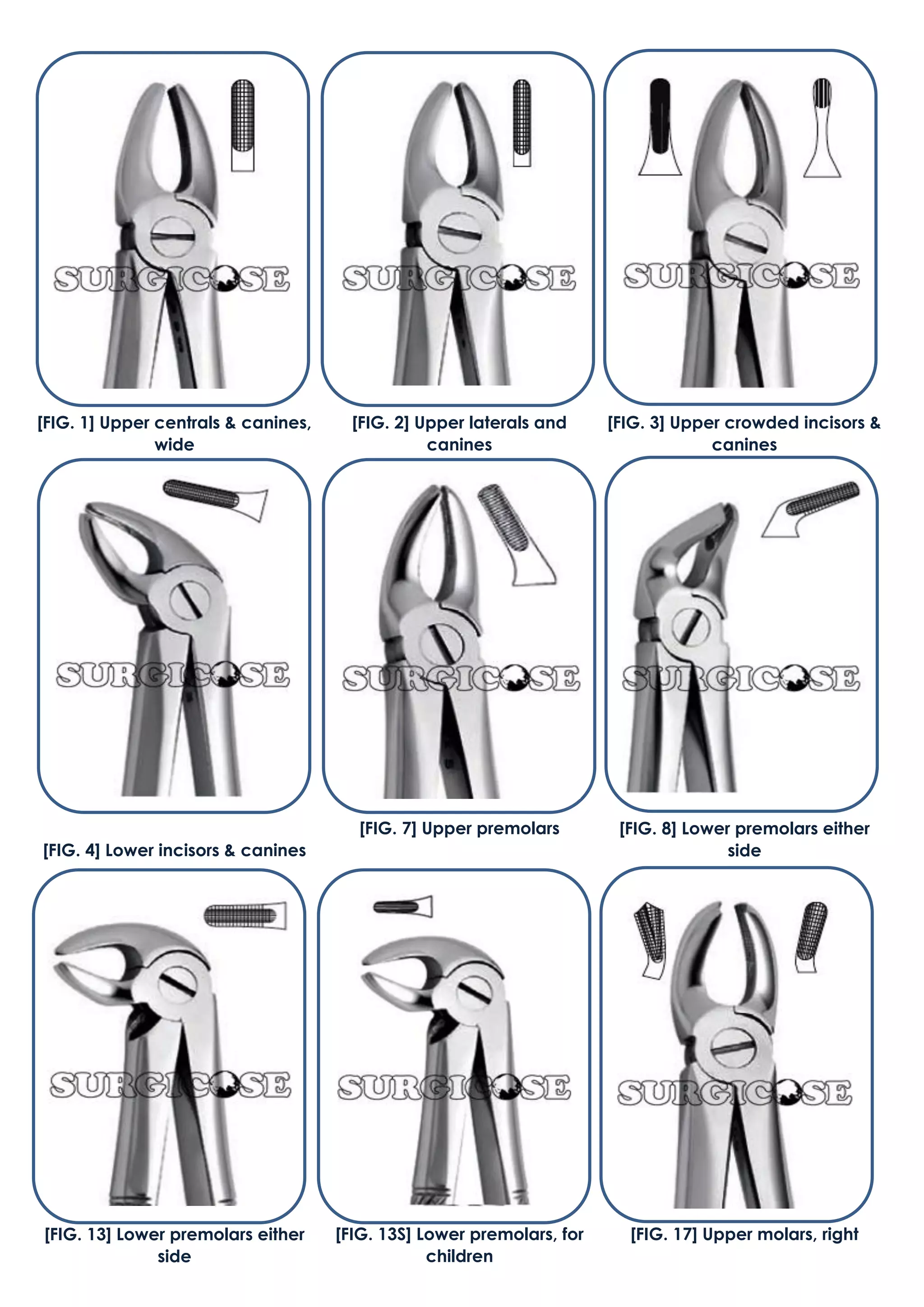 EXTRACTION FORCEPS (ENGLISH PATTERN) [SURGICOSE PK] | PDF