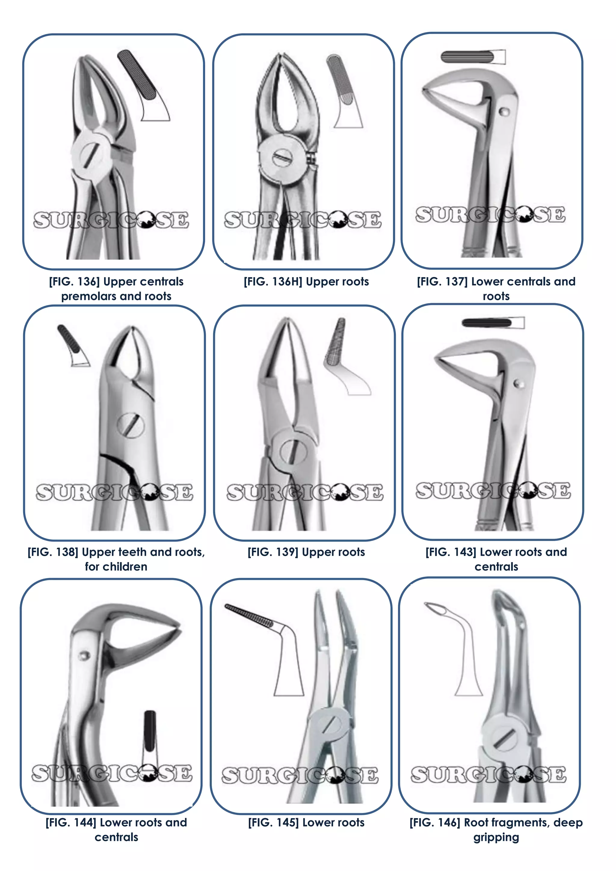 EXTRACTION FORCEPS (ENGLISH PATTERN) [SURGICOSE PK] | PDF