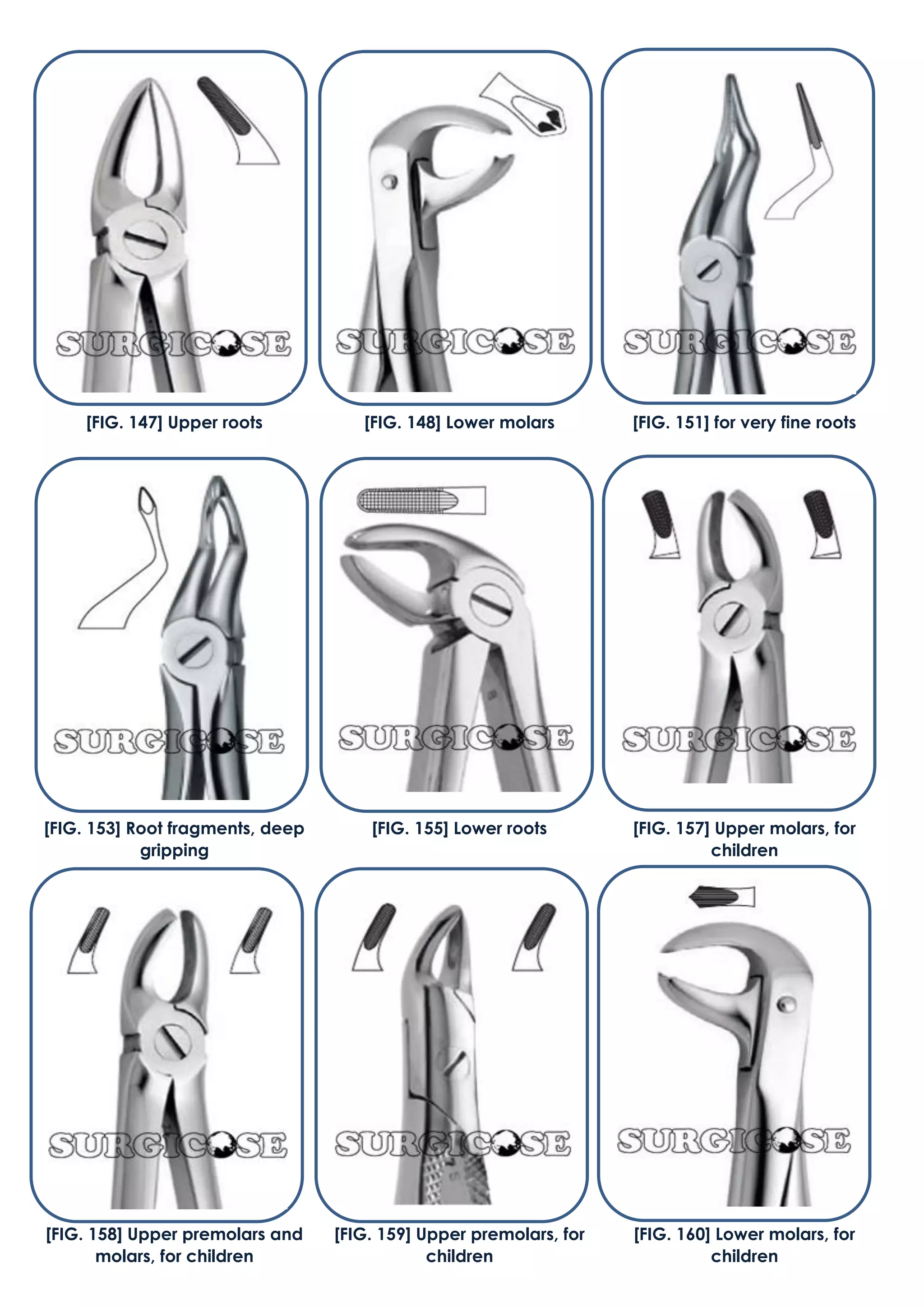 EXTRACTION FORCEPS (ENGLISH PATTERN) [SURGICOSE PK] | PDF