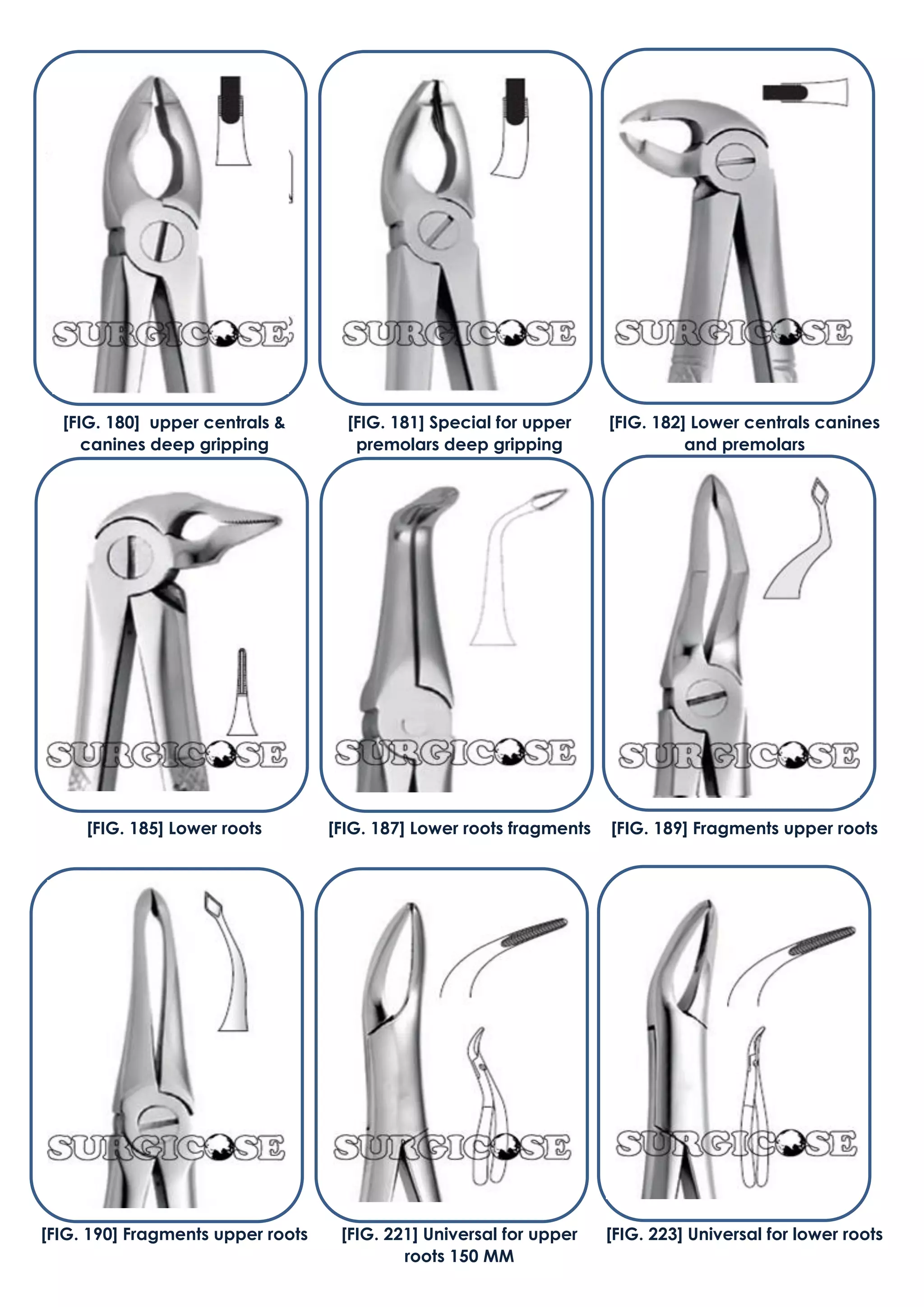EXTRACTION FORCEPS (ENGLISH PATTERN) [SURGICOSE PK] | PDF