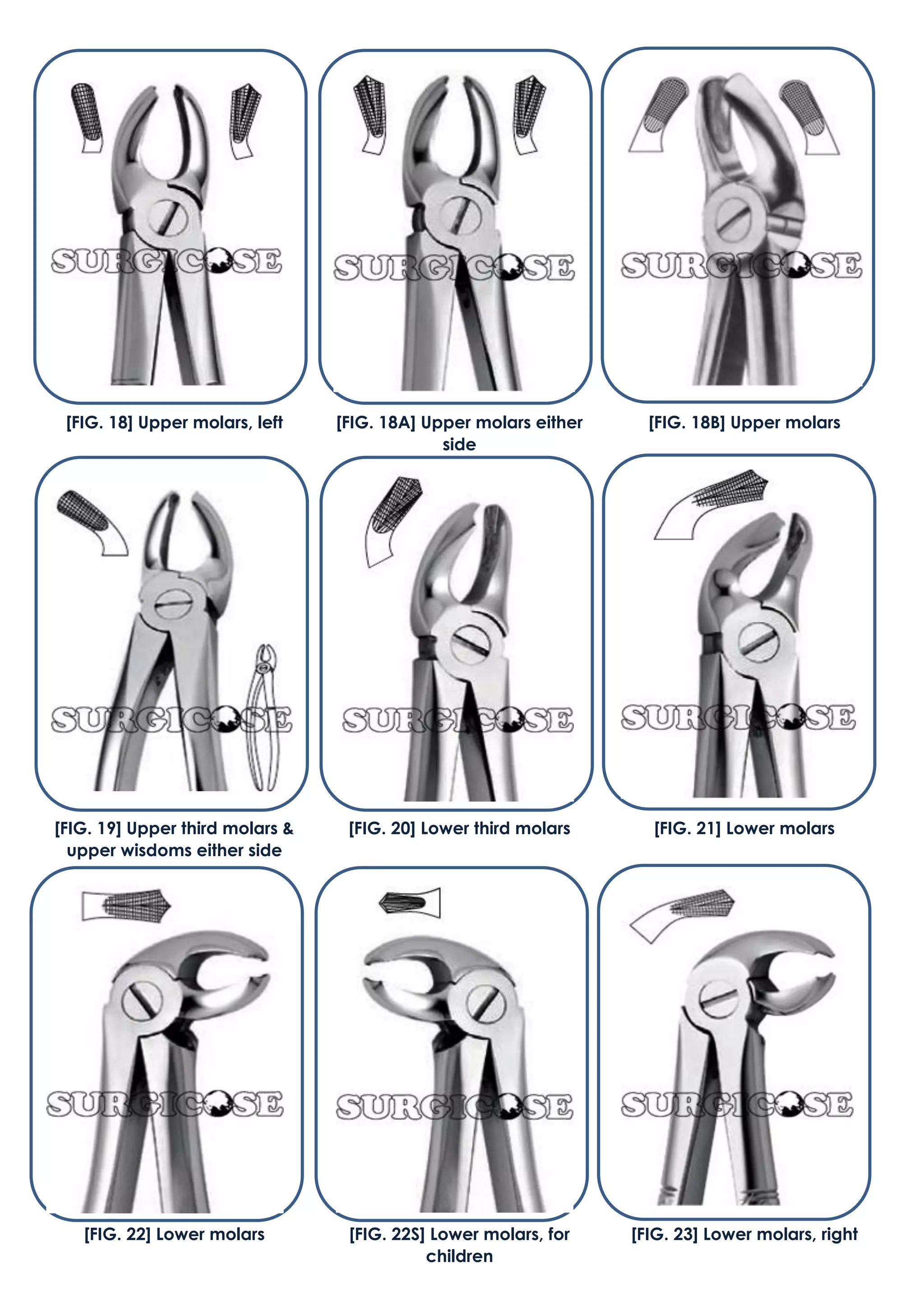 EXTRACTION FORCEPS (ENGLISH PATTERN) [SURGICOSE PK] | PDF
