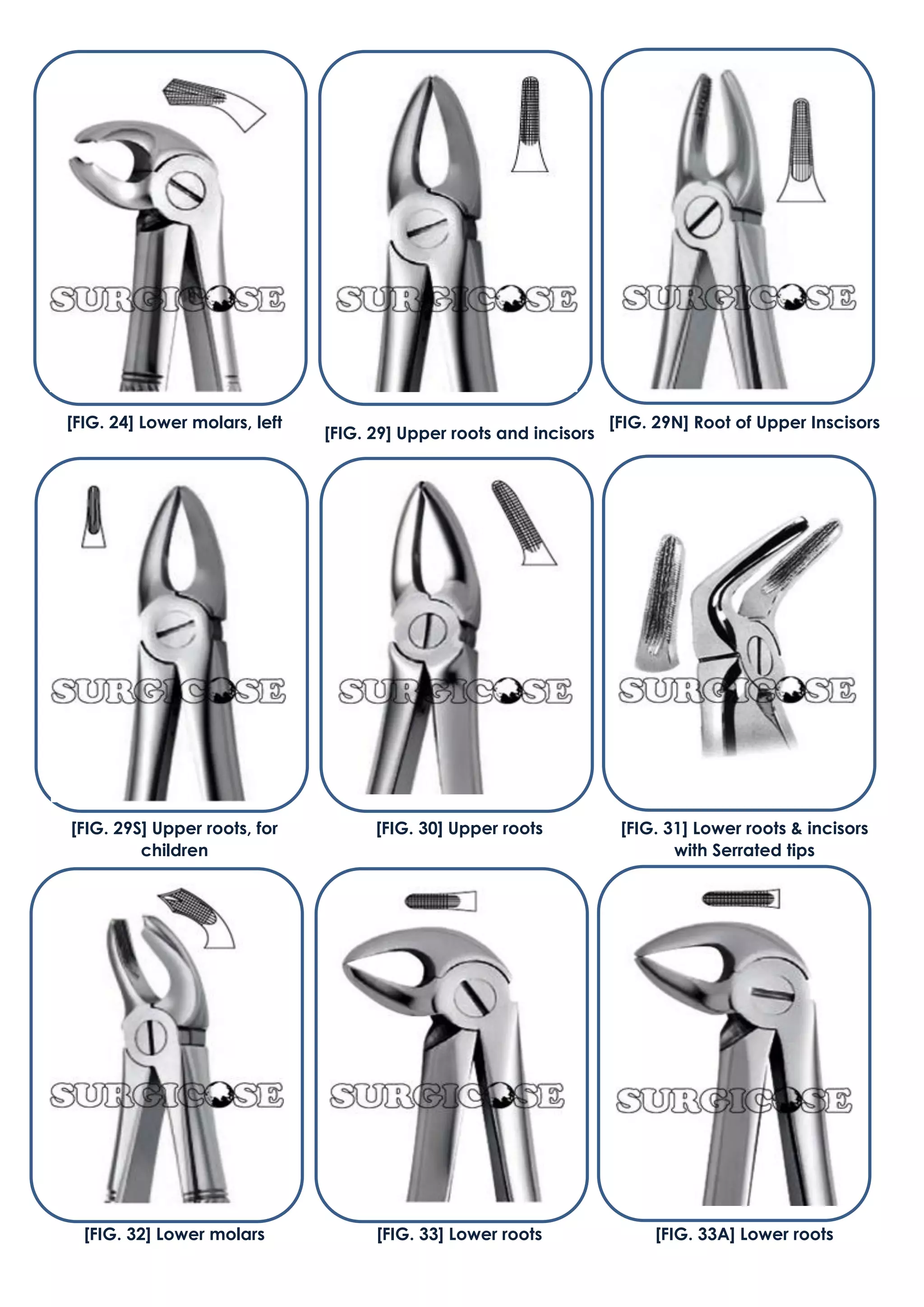 EXTRACTION FORCEPS (ENGLISH PATTERN) [SURGICOSE PK] | PDF