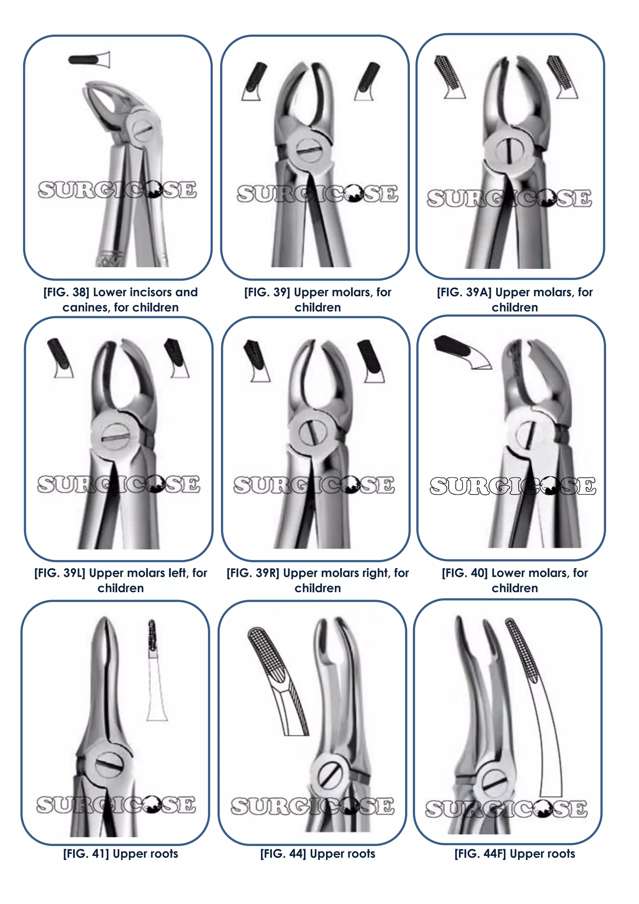 EXTRACTION FORCEPS (ENGLISH PATTERN) [SURGICOSE PK] | PDF