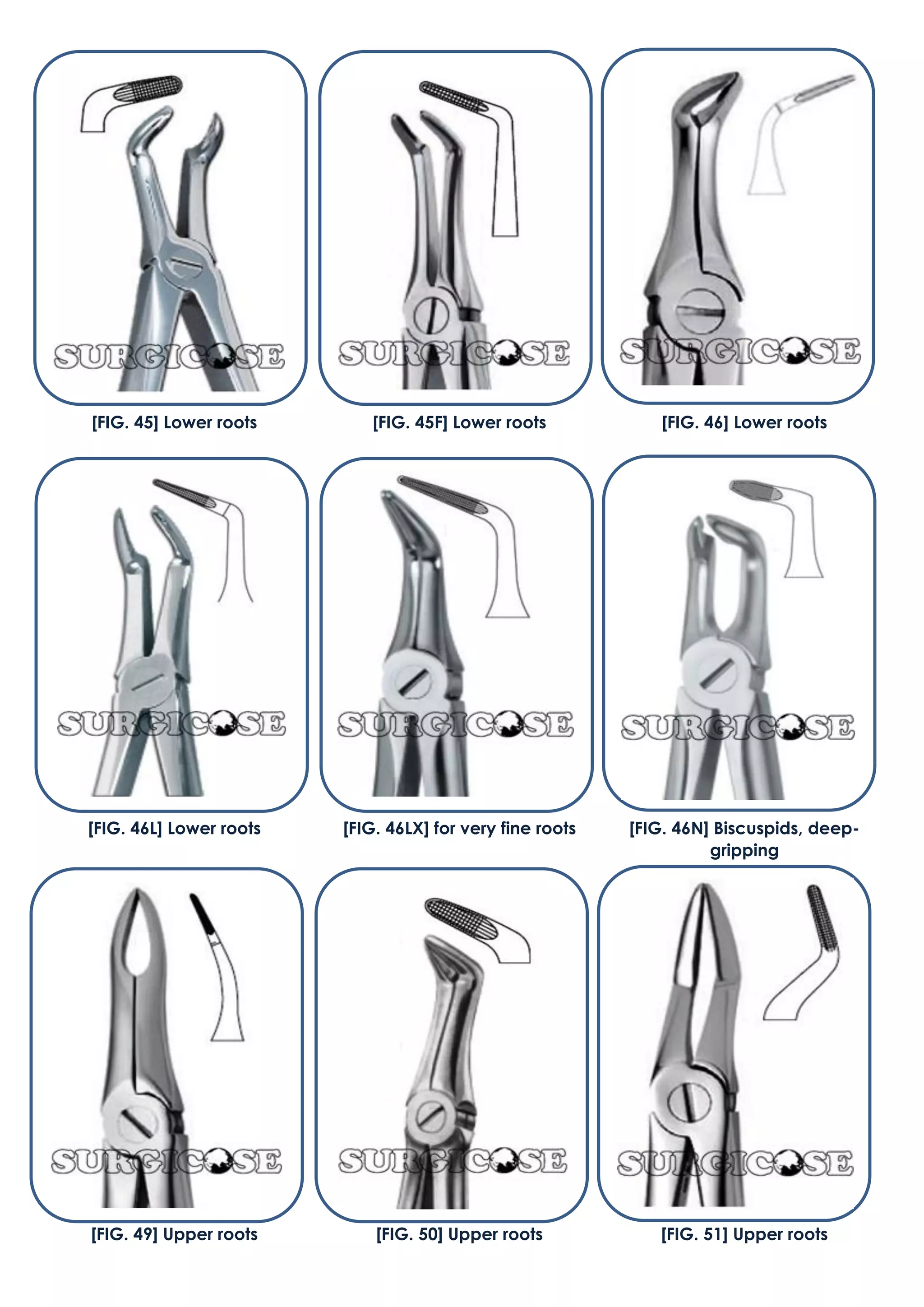 EXTRACTION FORCEPS (ENGLISH PATTERN) [SURGICOSE PK] | PDF