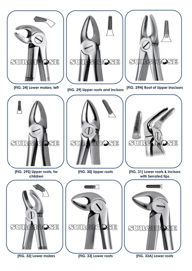 EXTRACTION FORCEPS (ENGLISH PATTERN) [SURGICOSE PK] | PDF | Dental ...