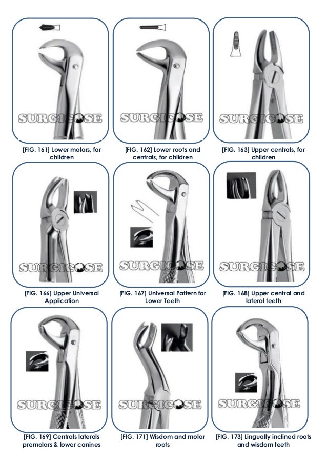 EXTRACTION FORCEPS (ENGLISH PATTERN) [SURGICOSE PK]