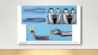 Extraction foreceps | PPTX | Dental Health | Diseases and Conditions