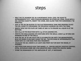 Extraction genomic dna | PPTX | Biological Sciences | Science