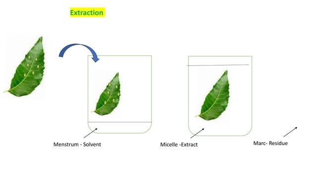 Extraction, Infusion, Decoction, Digestion.pptx