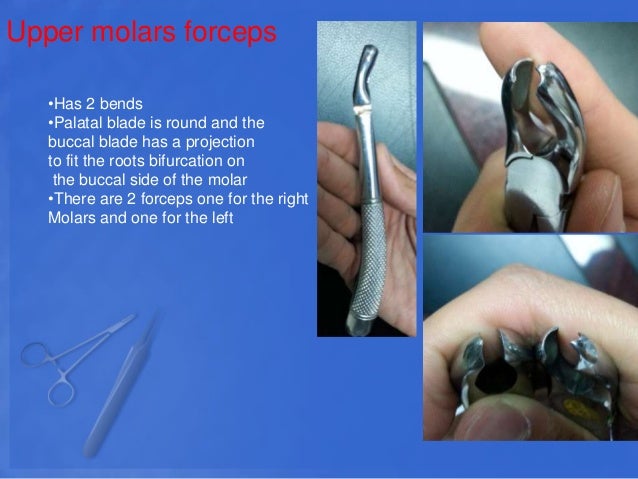Forceps | tradekorea