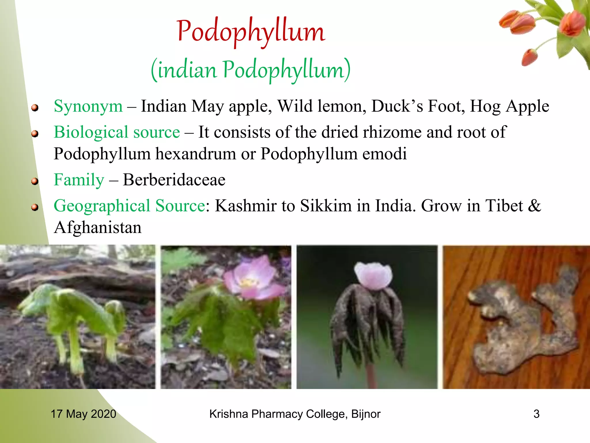 Extraction, isolation and structure elucidation of lignans ...
