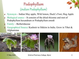 Extraction, isolation and structure elucidation of lignans ...