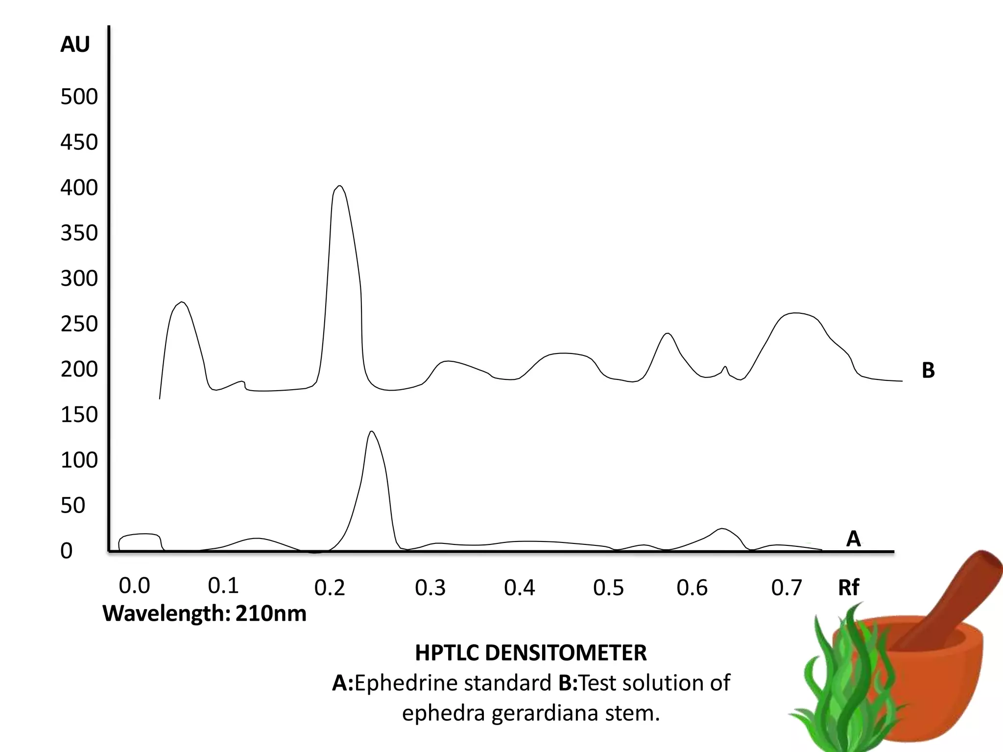 EXTRACTION, ISOLATION & ESTIMATION OF EPHEDRINE-1.pptx