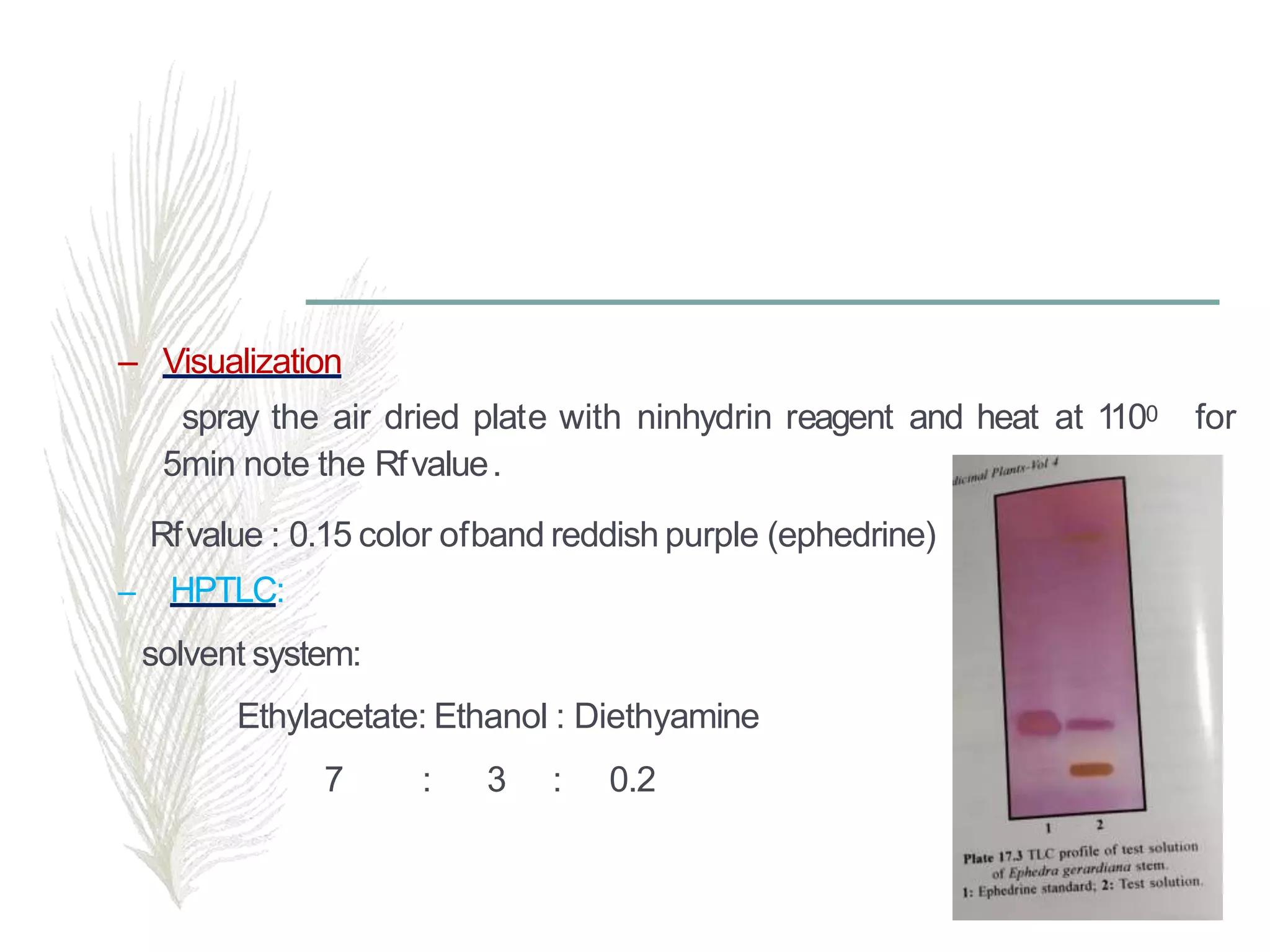 EXTRACTION, ISOLATION & ESTIMATION OF EPHEDRINE-1.pptx