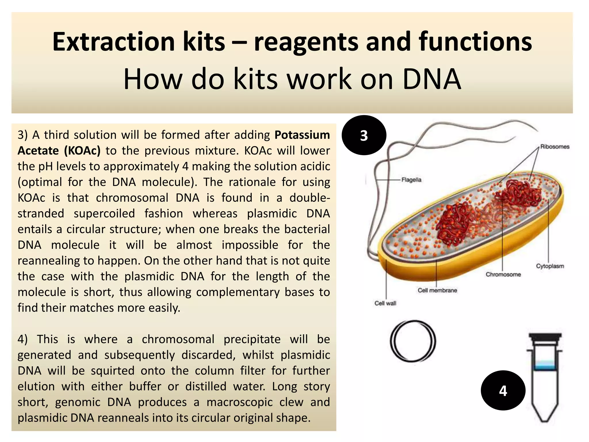 Extraction kits – how do kits work on dna | PPT