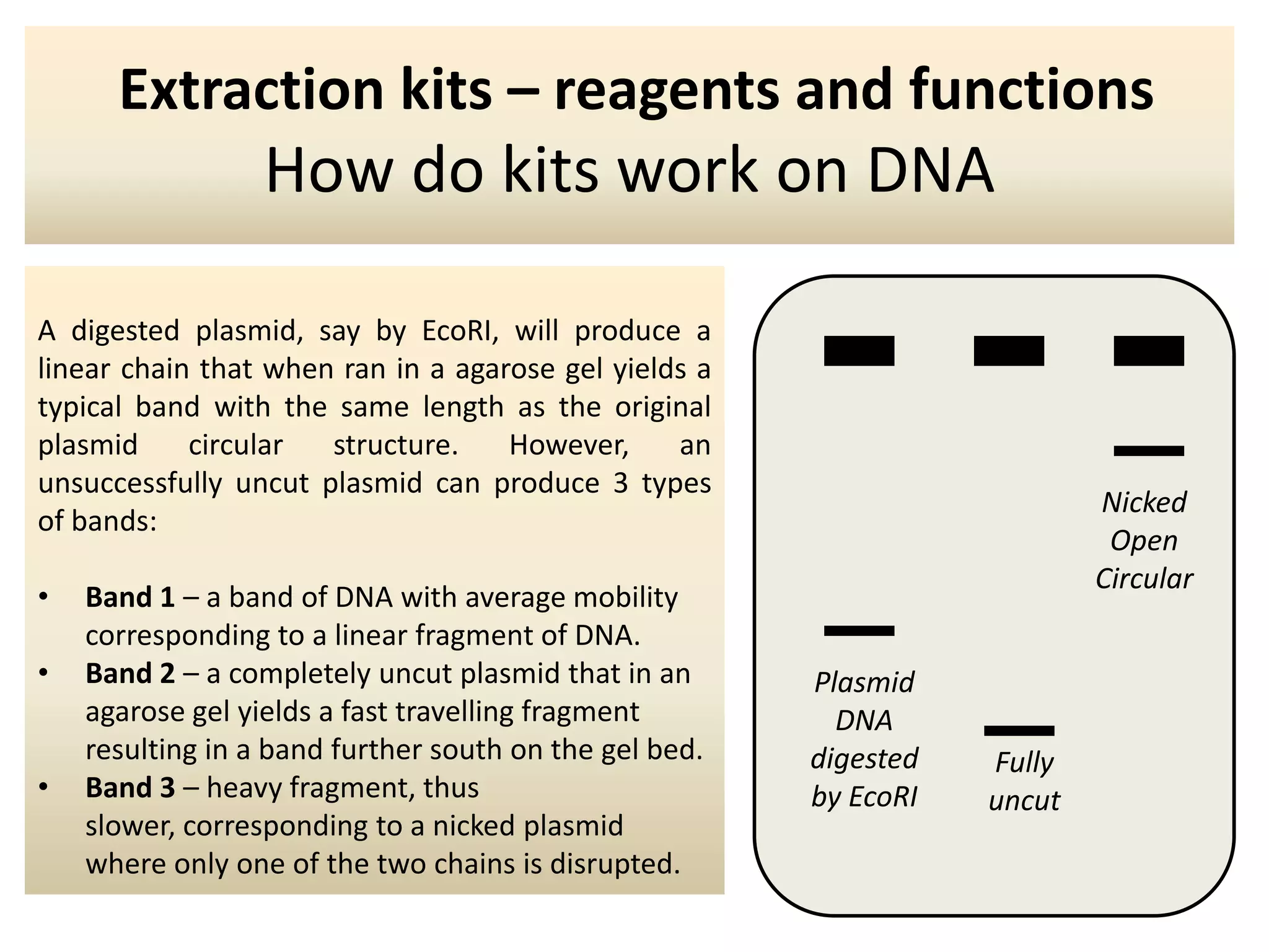 Extraction kits – how do kits work on dna | PPT